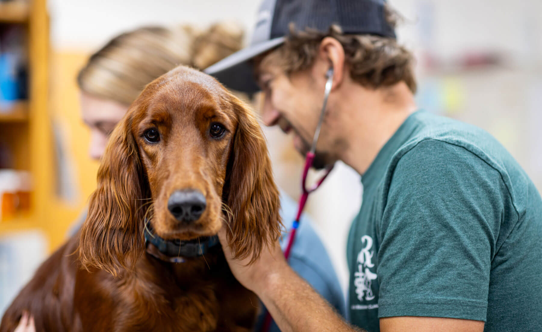 Home - Osage Regional Veterinary Clinic